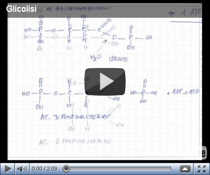 Il Potere Della Fantasia: Glicolisi (video)